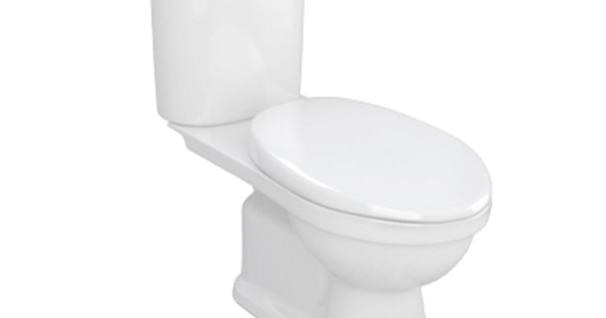 Star Toilet Dual Flush 3-6Lpf | American Standard Vietnam